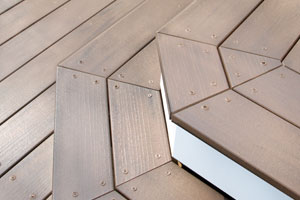 Raption Designs | SaveOn