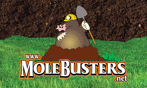 Tuff Turf Molebusters in Southern Michigan | HomePros